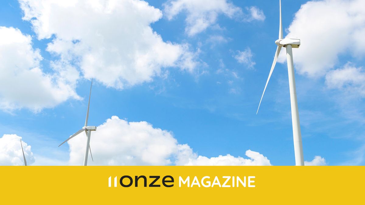 What is greenflation? - 11Onze