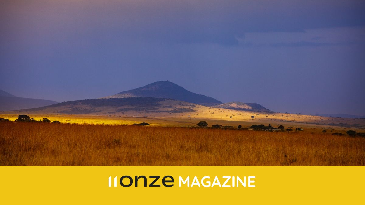 ORigen: 11Onze offers gold in large quantities - 11Onze